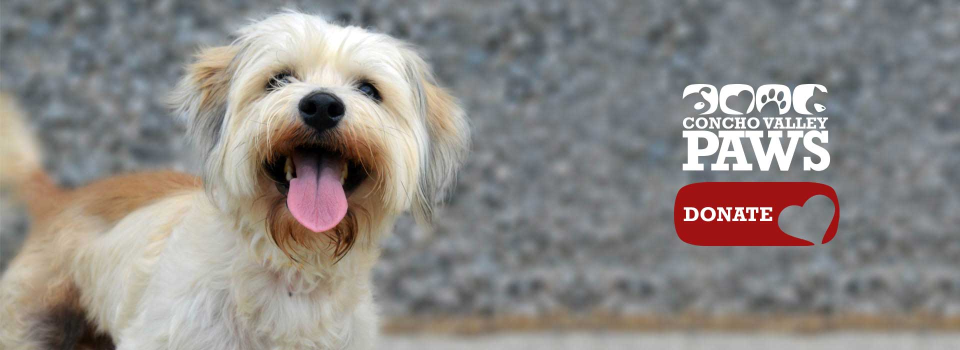 Welcome to Concho Valley PAWS! :: Concho Valley PAWS